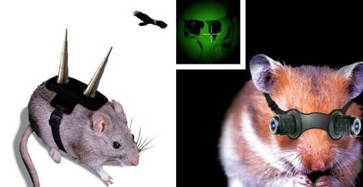 Augmented Animals | Next Nature