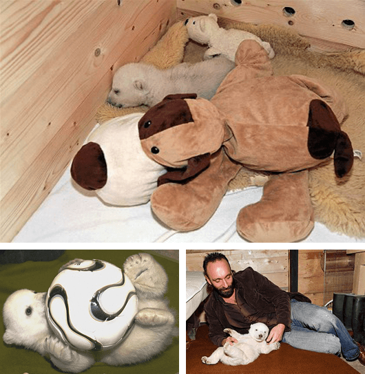 Toys'R'Us | Next Nature