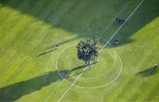 Greener Soccer | Next Nature