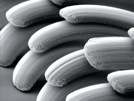 Growing a nano forrest | Next Nature