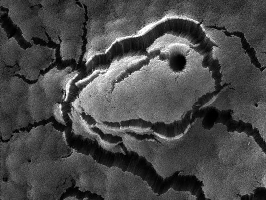 Growing a nano forrest | Next Nature