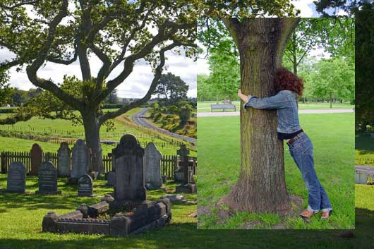 Biopresence - Human DNA Trees | Next Nature