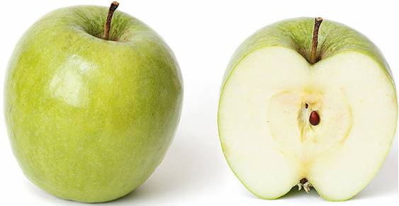 Genetically Engineered "Arctic" Apple Will Never Turn Brown | Next Nature