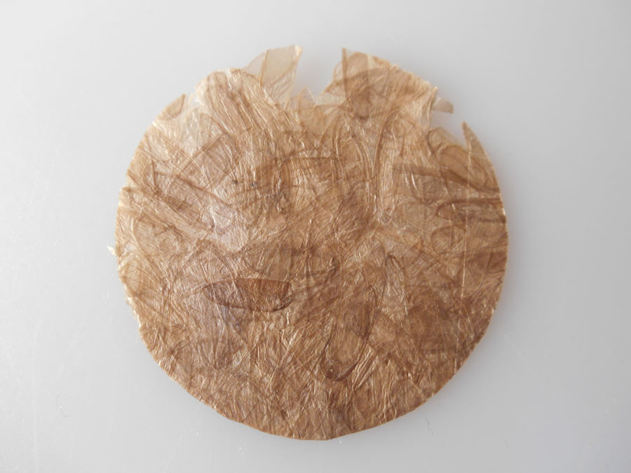 Bioplastic Made of Pressed Insect Shells | Next Nature