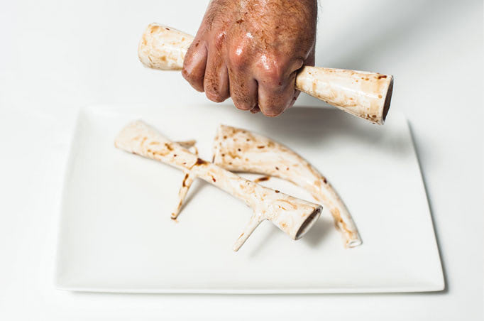 In Vitro Recipe #8: Bone Pickers | Next Nature