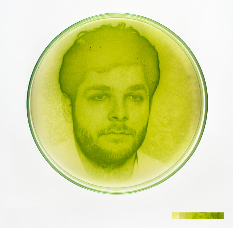 Living Portraits | Next Nature