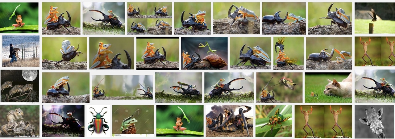 Animal Fauxtography | Next Nature