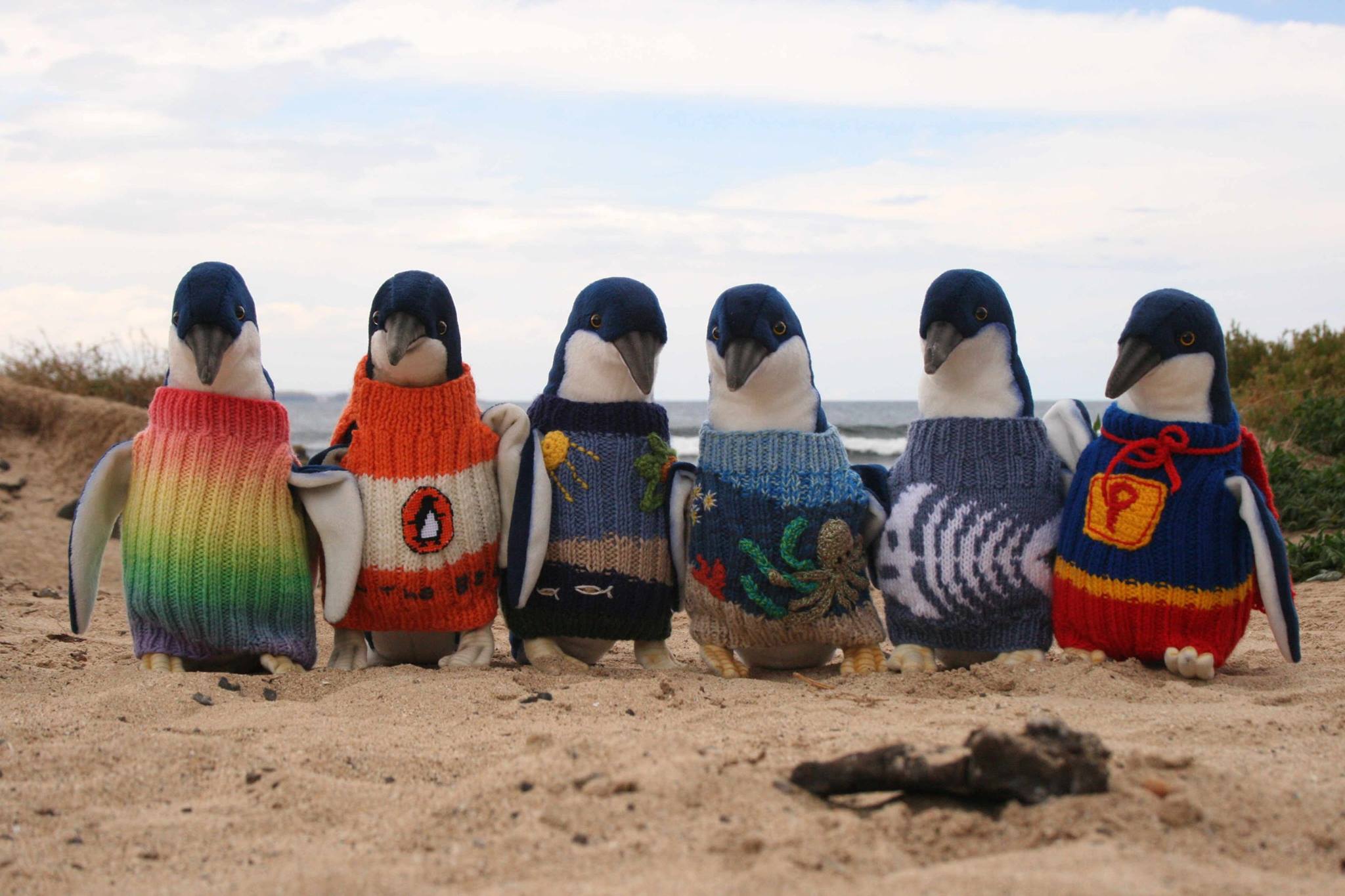 How Knitwear Can Save Penguins | Next Nature
