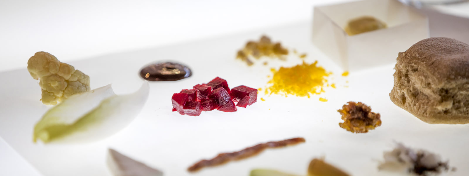 Dinner with Chef Watson | Next Nature