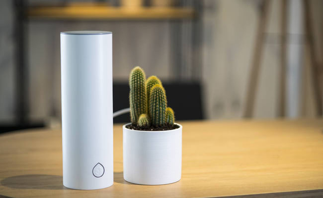 Your Personal Plant Assistant | Next Nature