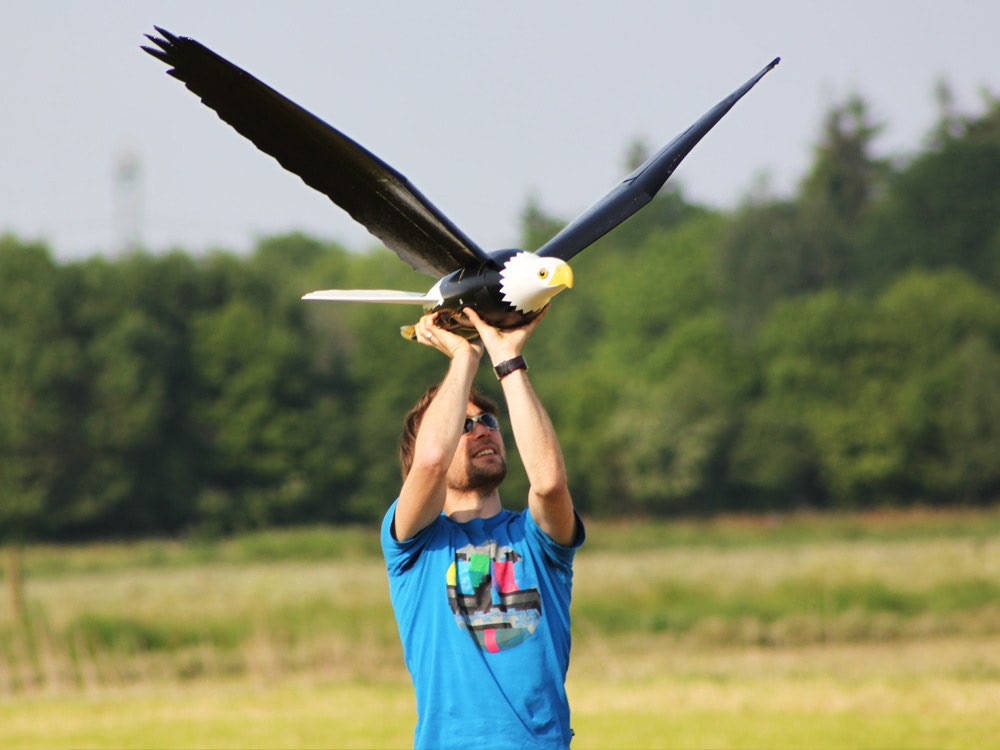 The Solution to Nuisance Birds? The Robird