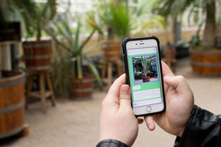 Chat with Plants in the Botanical Garden