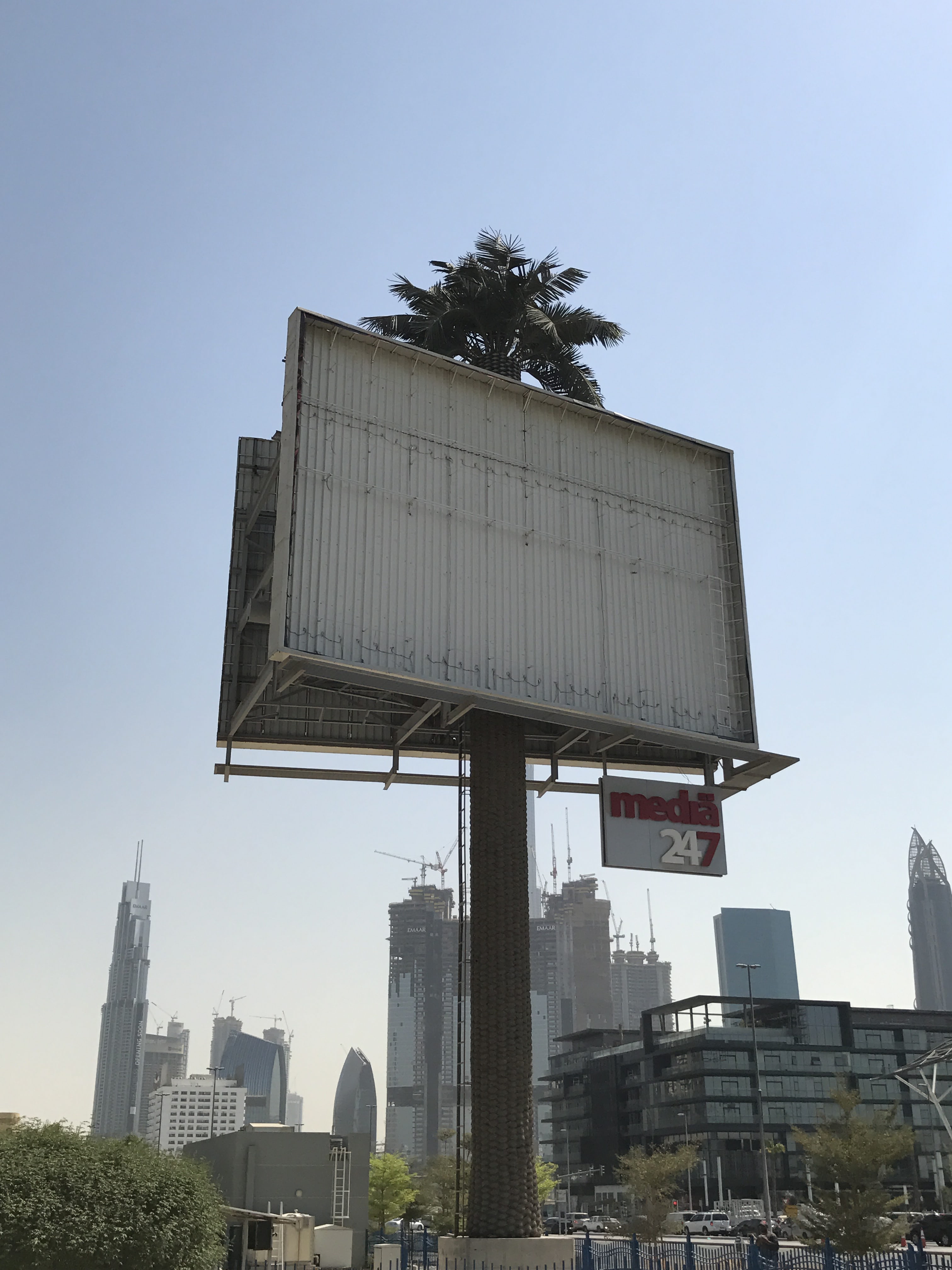 New Tree Species Found Only in Dubai