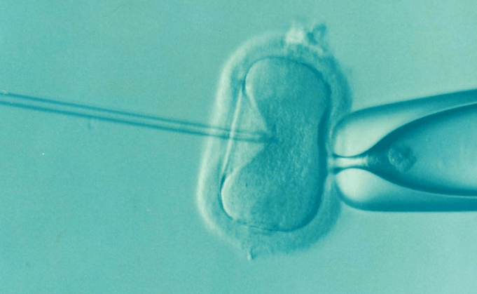 This controversial new test could be used to screen embryos for ...