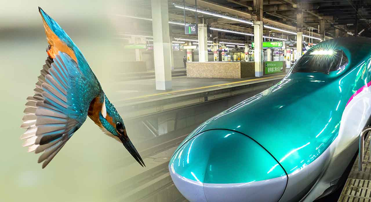 How modern technology is inspired by the natural world