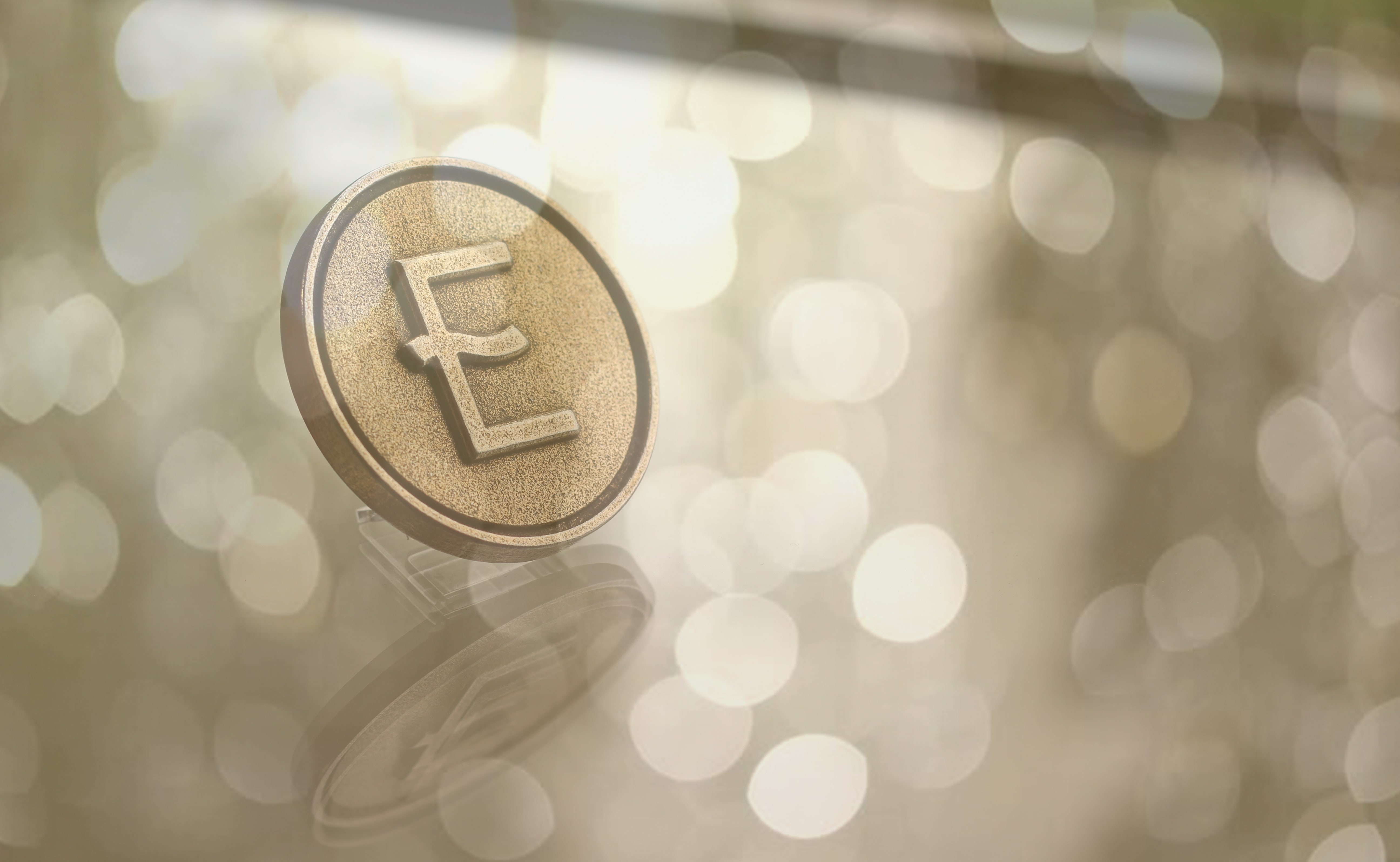 Who should win the ECO Coin Award 2019? | Next Nature