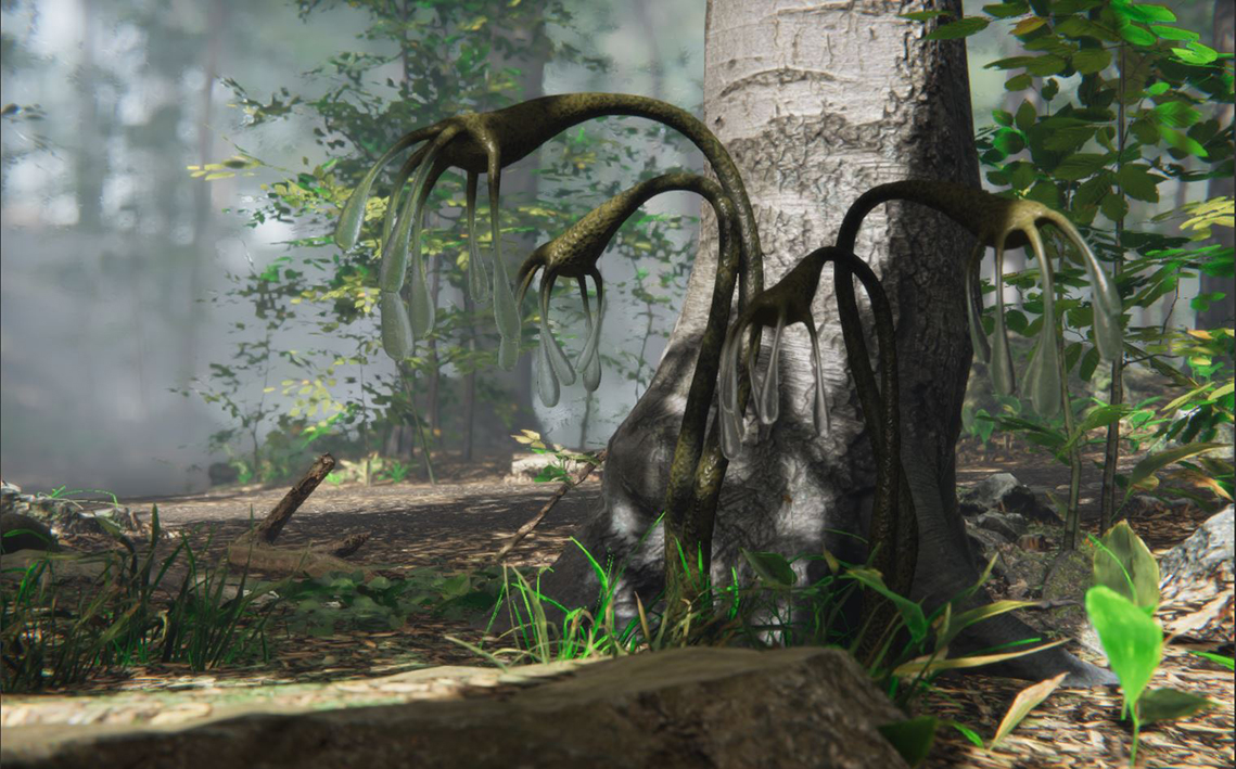 Beyond the Cyborg Manifesto: interview with Donna Haraway